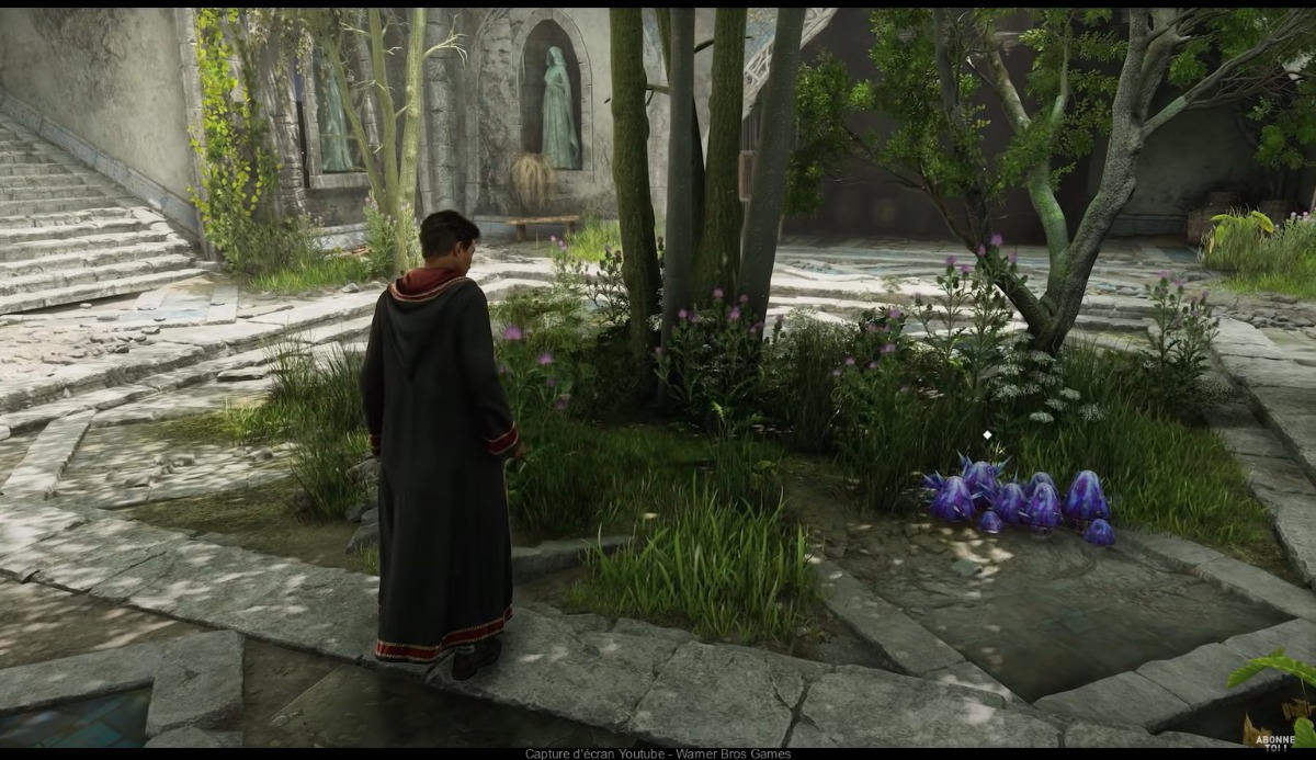 Can You Visit Hogwarts Kitchen In The Game Quiz Expo